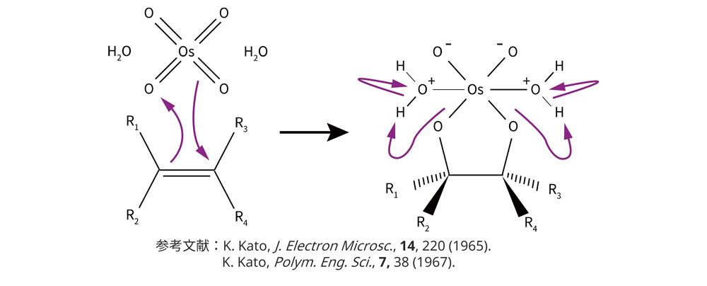 Os染色-SEM観察によるSBR系バインダーの分布観察 | 株式会社日産アーク