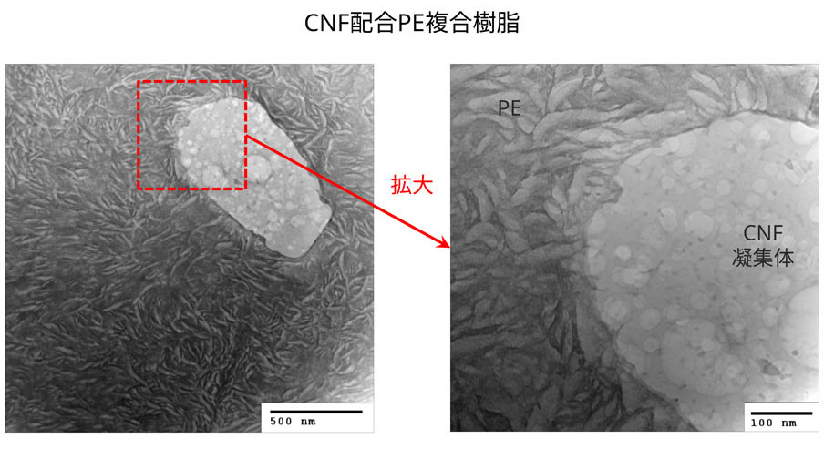 NIR、TEM観察とAFM-IRによるセルロースナノファイバー (CNF) 複合材の分散構造解析 | 株式会社日産アーク